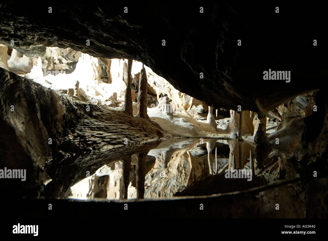 Cox s Cave with stalagmites and stalagtites in limestone Cheddar Gorge ...