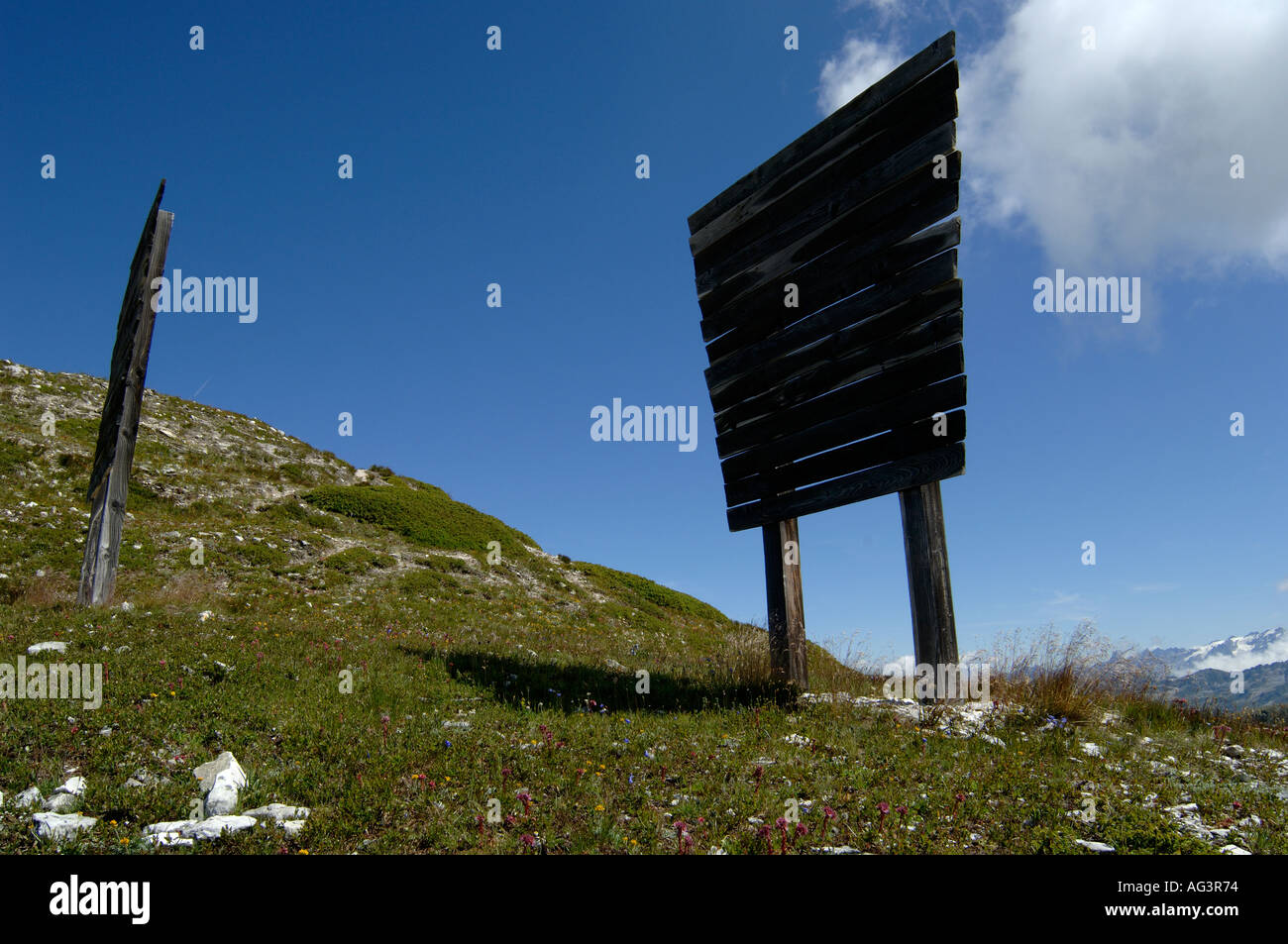 Wooden avalanche protection barriers on mountain slope in the french ...
