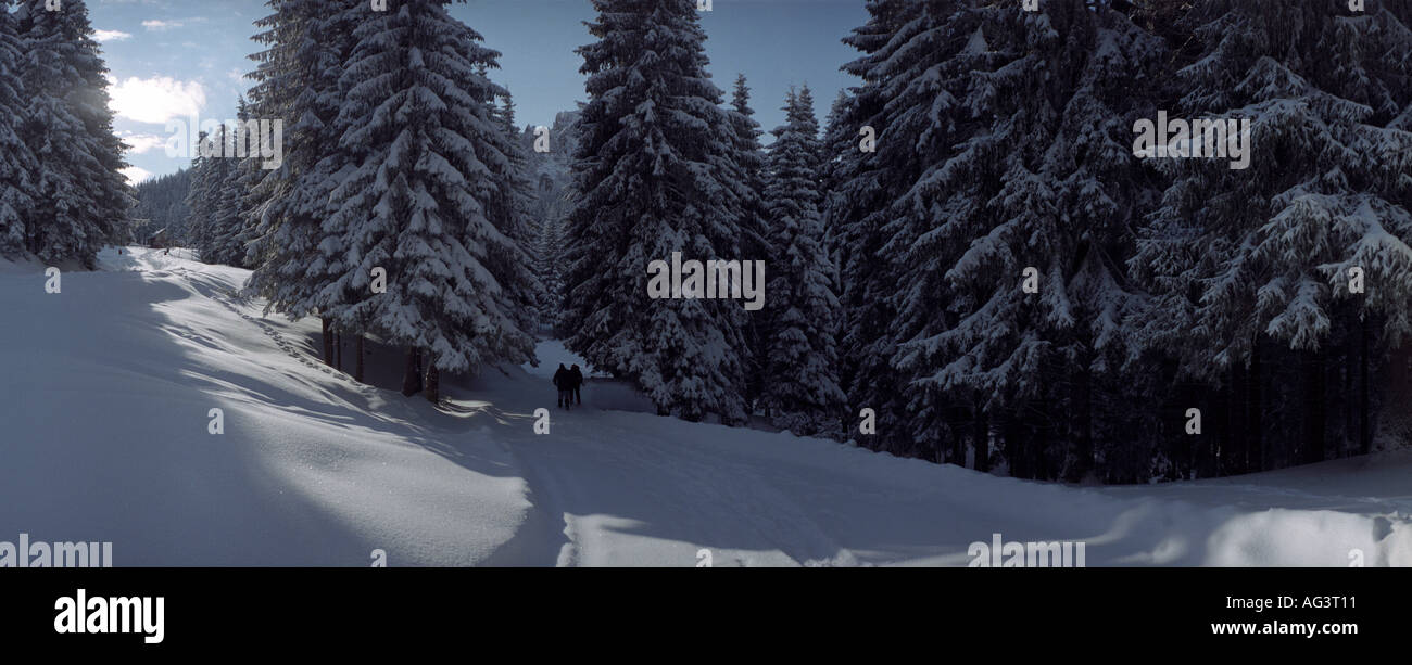 Rarau Mountain Protected Area Suceava Romania East Europe Stock Photo ...