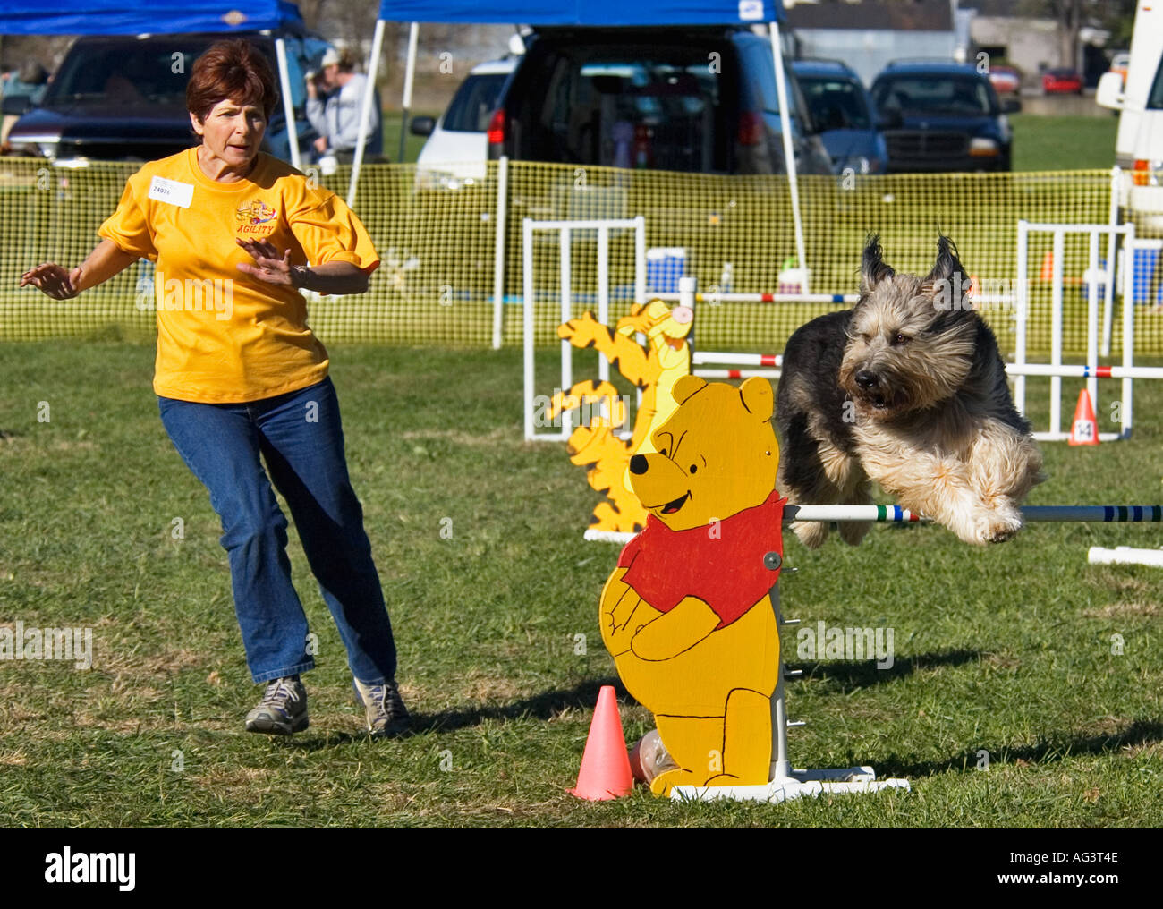 Agility test run hi-res stock photography and images - Alamy