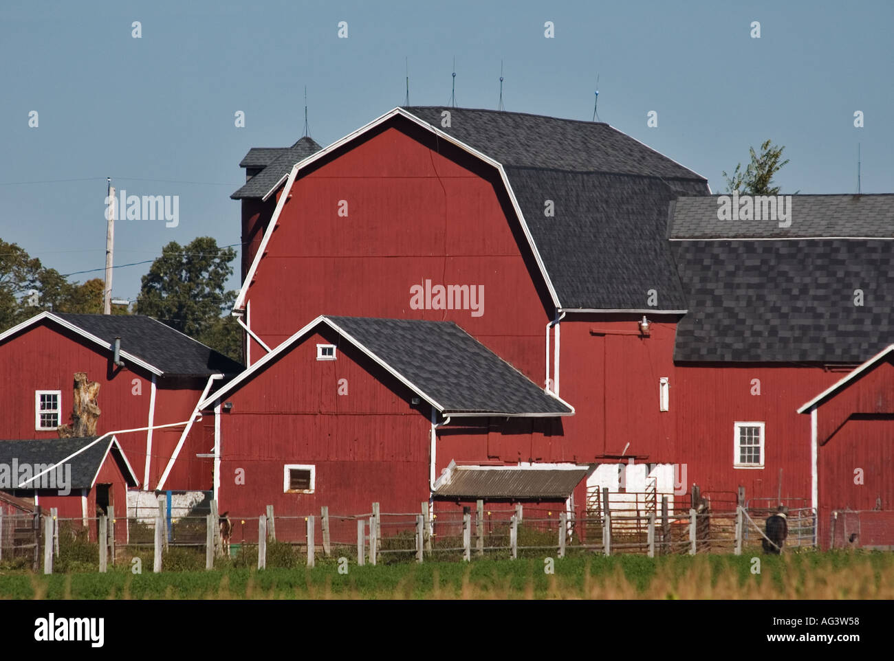 Red Barn Near Stafford New York Stock Photo - Alamy