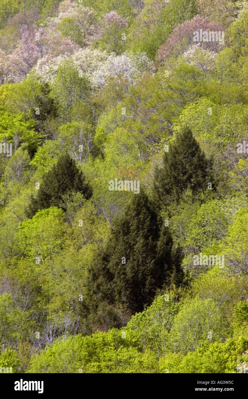 Big wood national recreation area hi-res stock photography and images ...