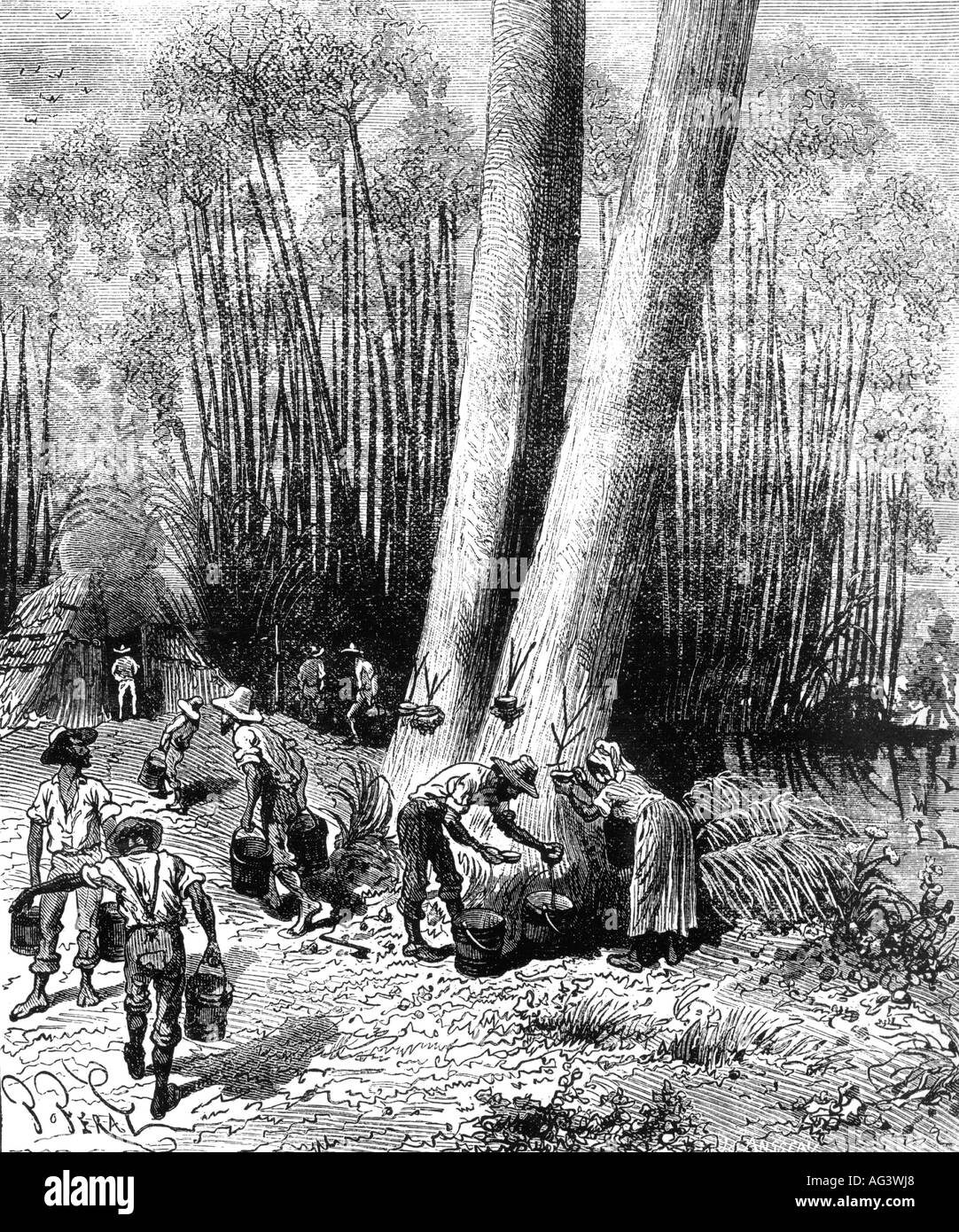 geography/travel, Brazil, agriculture, latex harvest, engraving, circa ...