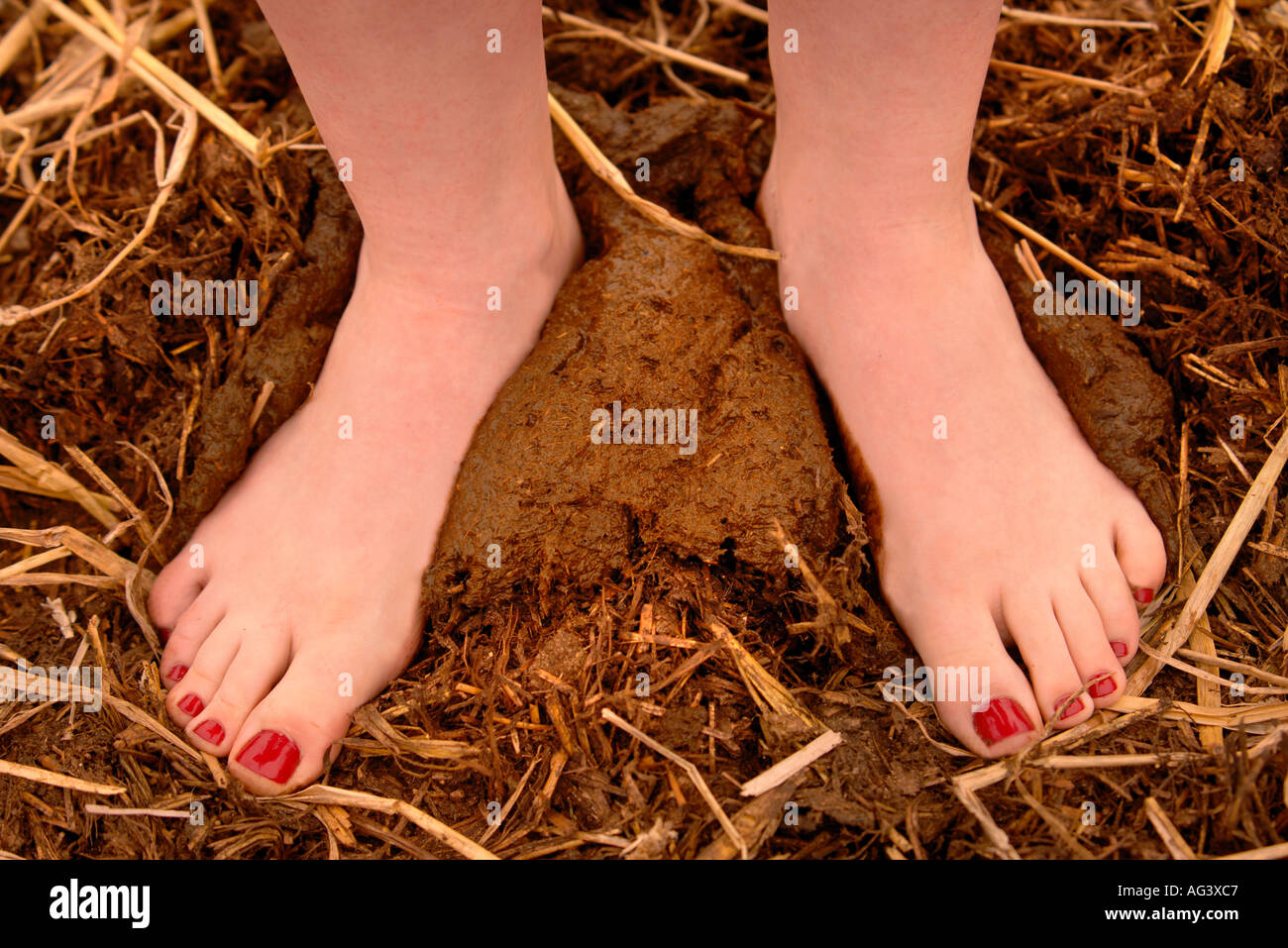 A LADY WITH RED TOE NAIL POLISH STANDING IN A COWPAT Stock Photo - Alamy