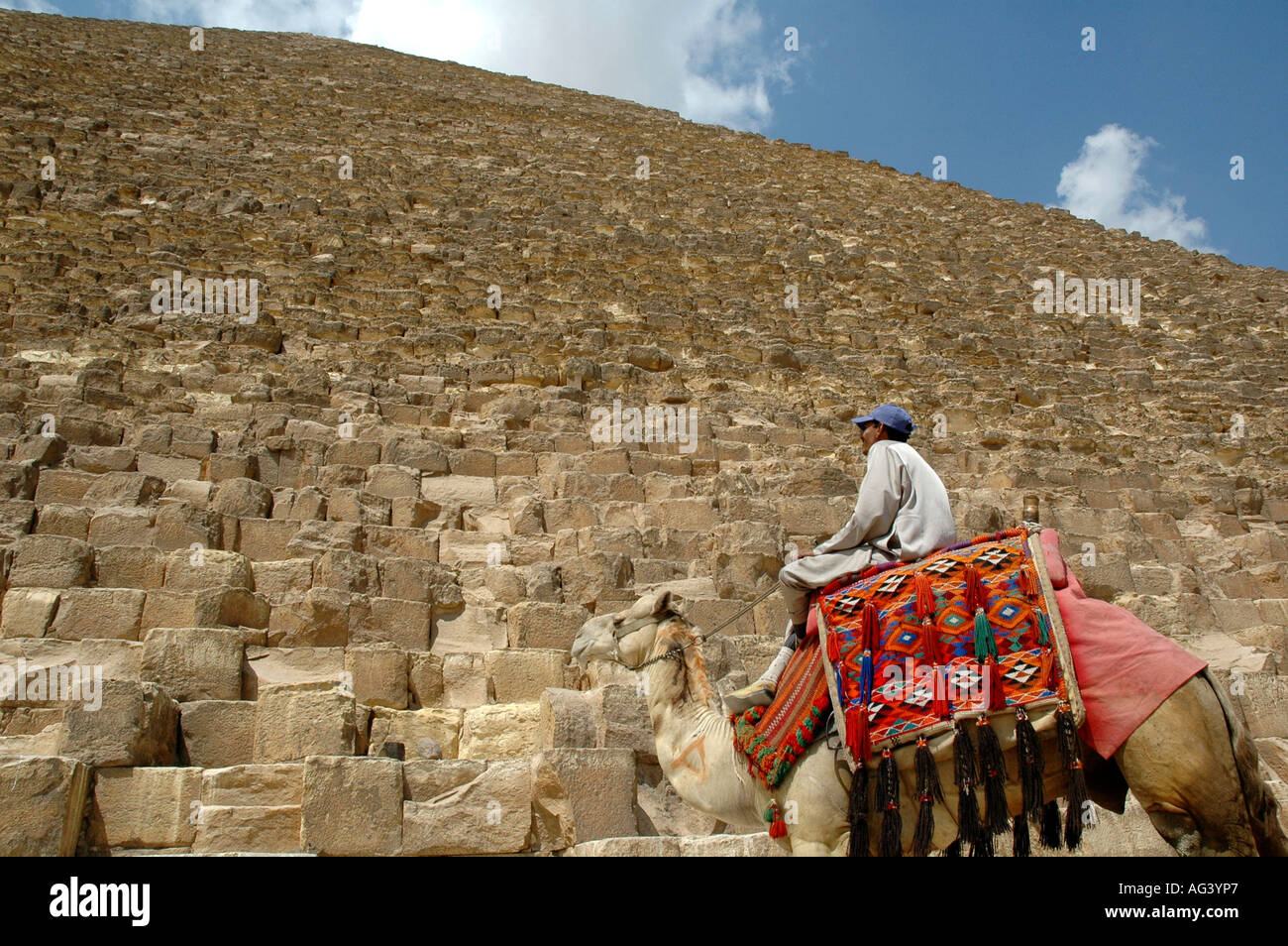 Camel and rider in front of the Great pyramid of Cheops, Giza, Cairo ...