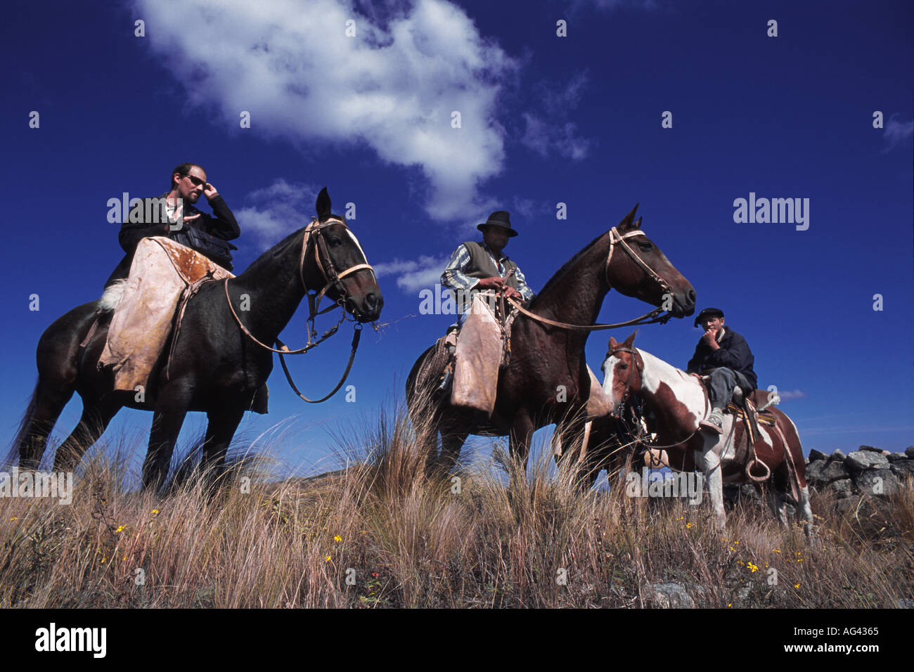 Argentine gaucho saddle hi-res stock photography and images - Alamy