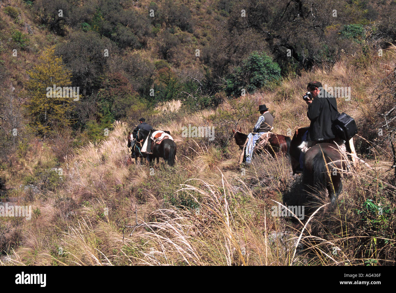 Argentine gaucho saddle hi-res stock photography and images - Alamy