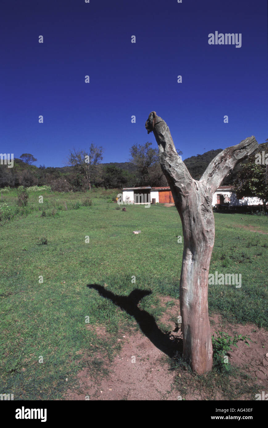 Tethering hi-res stock photography and images - Alamy