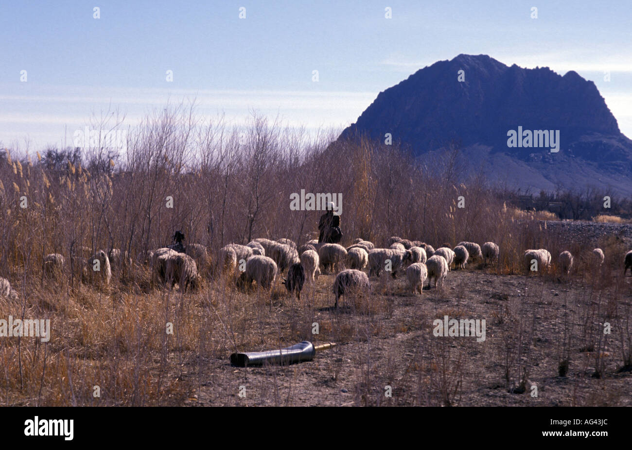 Afghanistan Kandahar Mujahedin during the last year of the war with the ...