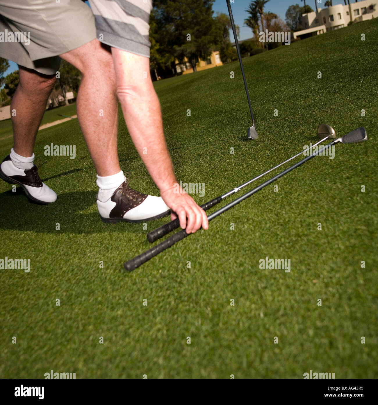 golf sizing up the putting distance Stock Photo - Alamy