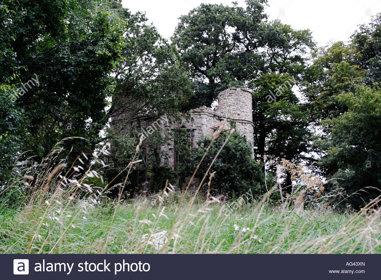 Dinton Stock Photos & Dinton Stock Images - Alamy