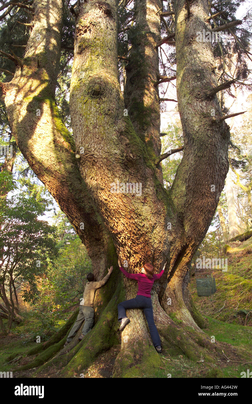 Girl Hugging Tree, Scotland Stock Photo - Alamy
