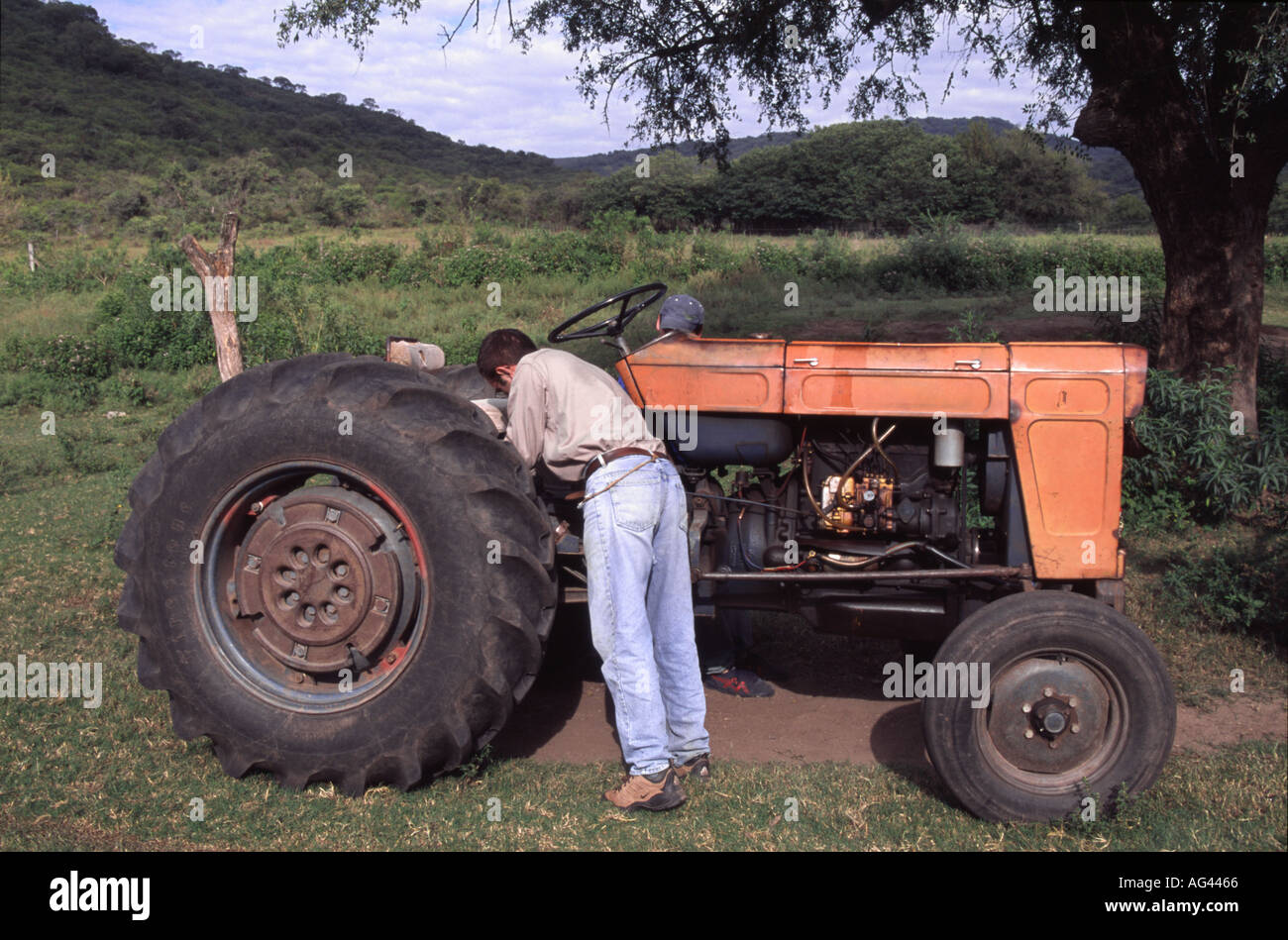 Men fixing a broken tractor in Argentina Stock Photo - Alamy