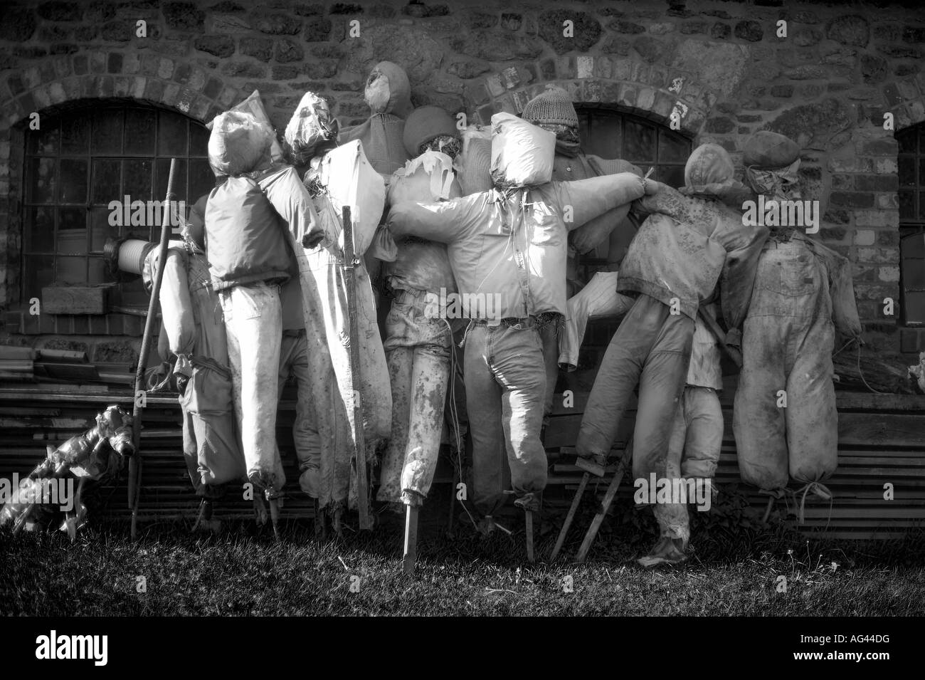 Gourd grow Black and White Stock Photos & Images - Alamy
