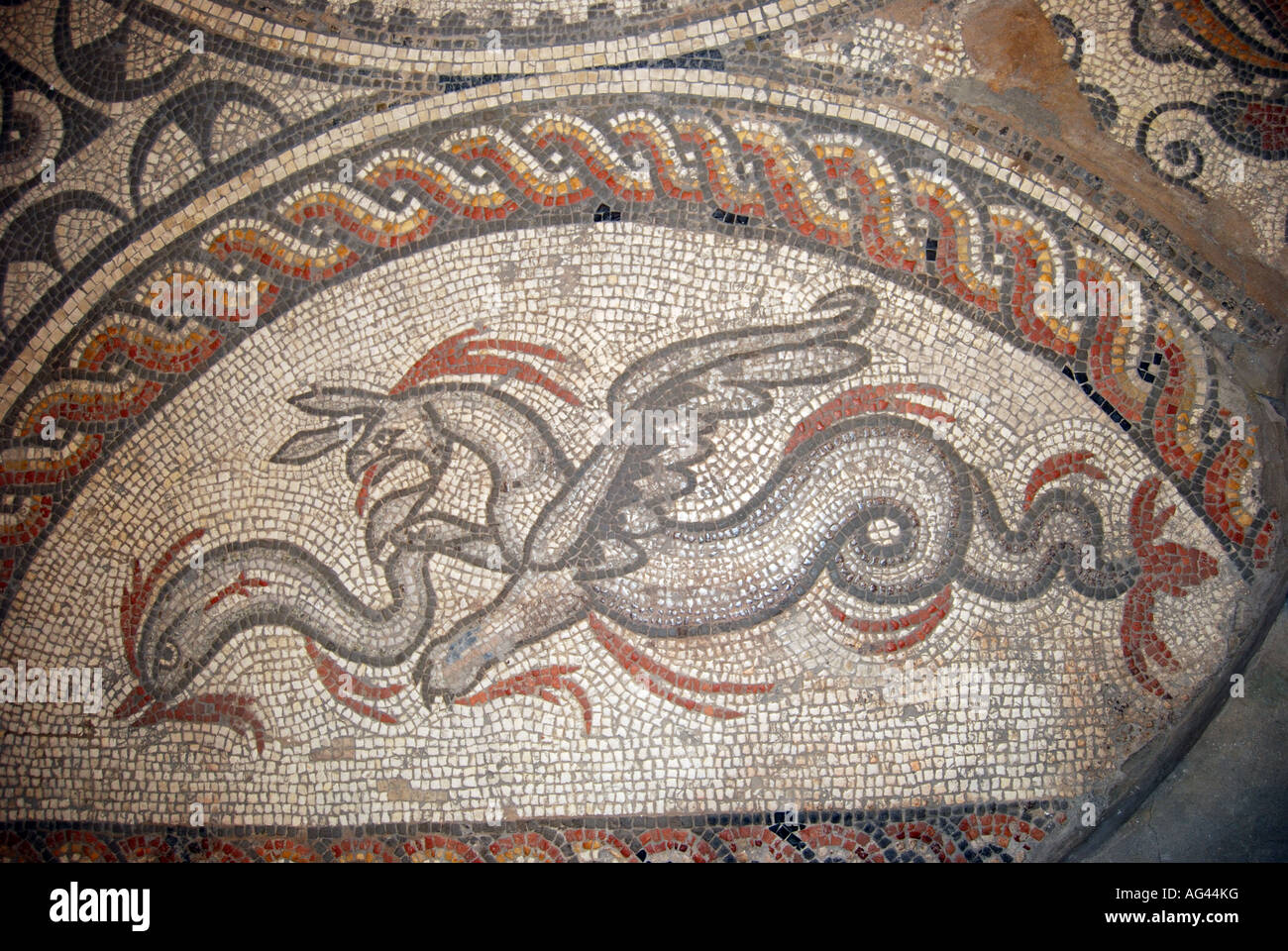 Sea Panther Mosaic, Corinium Museum, Park Street, Cirencester ...