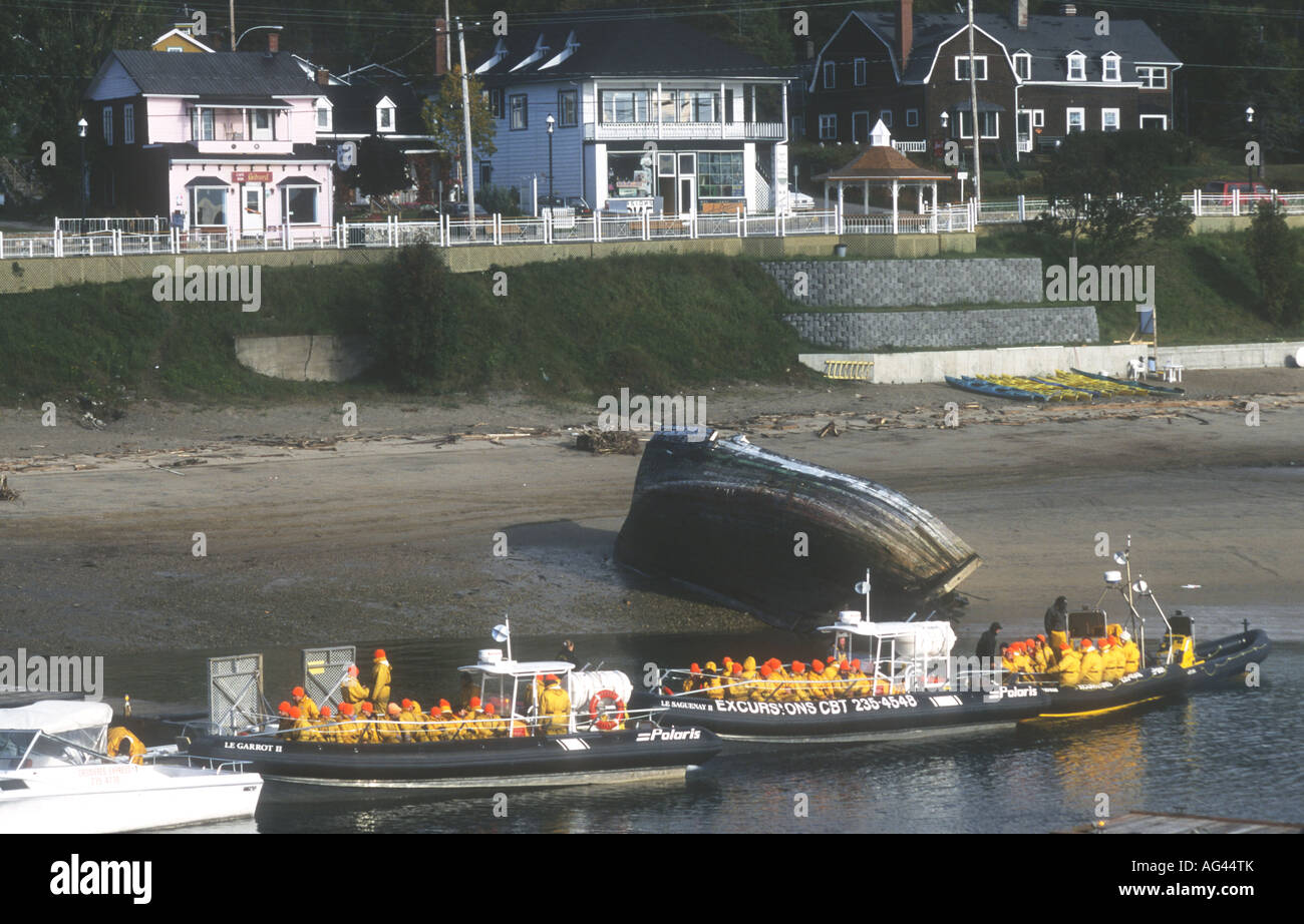 WHALEWATCHERS IN YELLOW OILSKINS AT TADOUSSAC, QUEBEC ON ST LAWRENCE ...