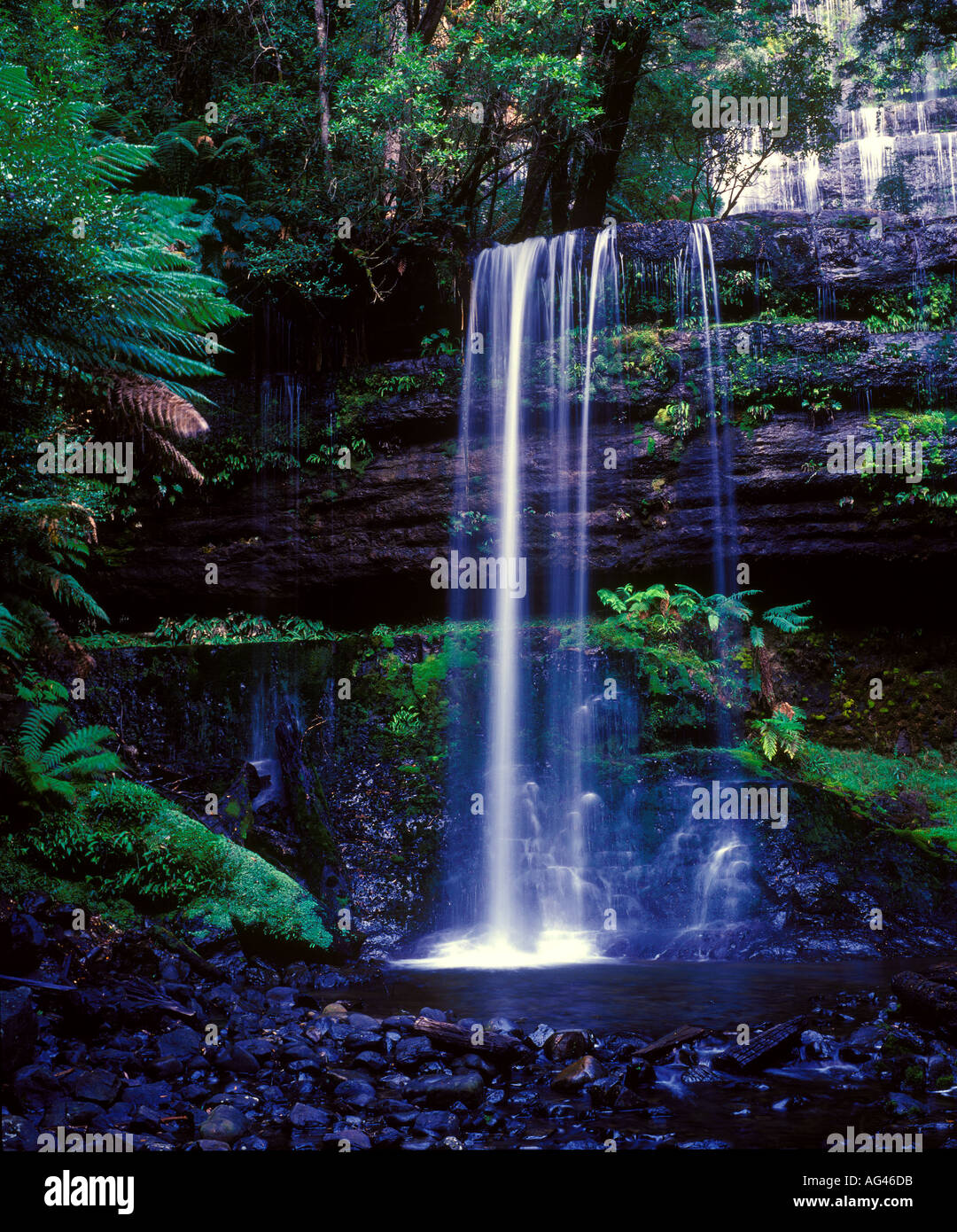 Waterfall in bush Tasmania Australia Stock Photo - Alamy