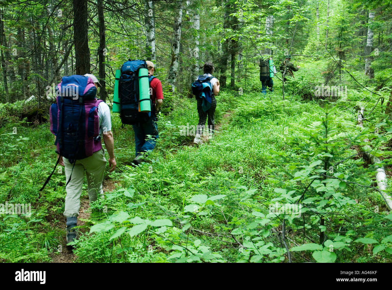Hiking in Baikal Nature Reserve next to Lake Baikal Siberia Russia 2006 ...