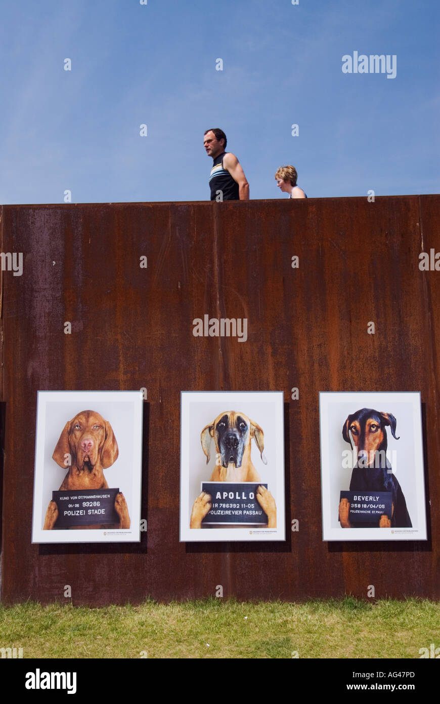 Exhibit of dog police line up at new modern outdoors art gallery beside ...