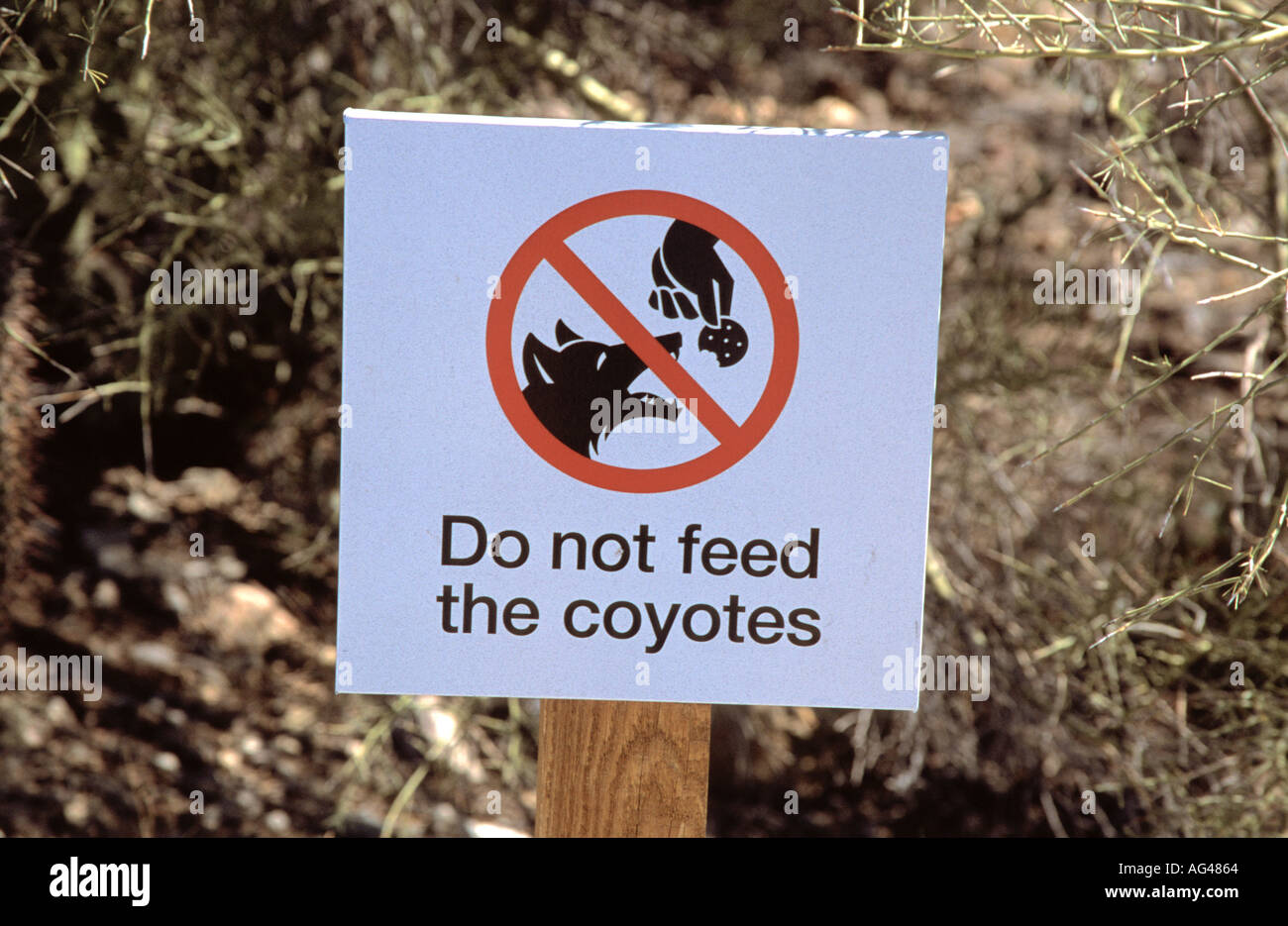 Arizona USA Sonoran Desert Museum Flora Fauna Sign Do Not Feed The ...