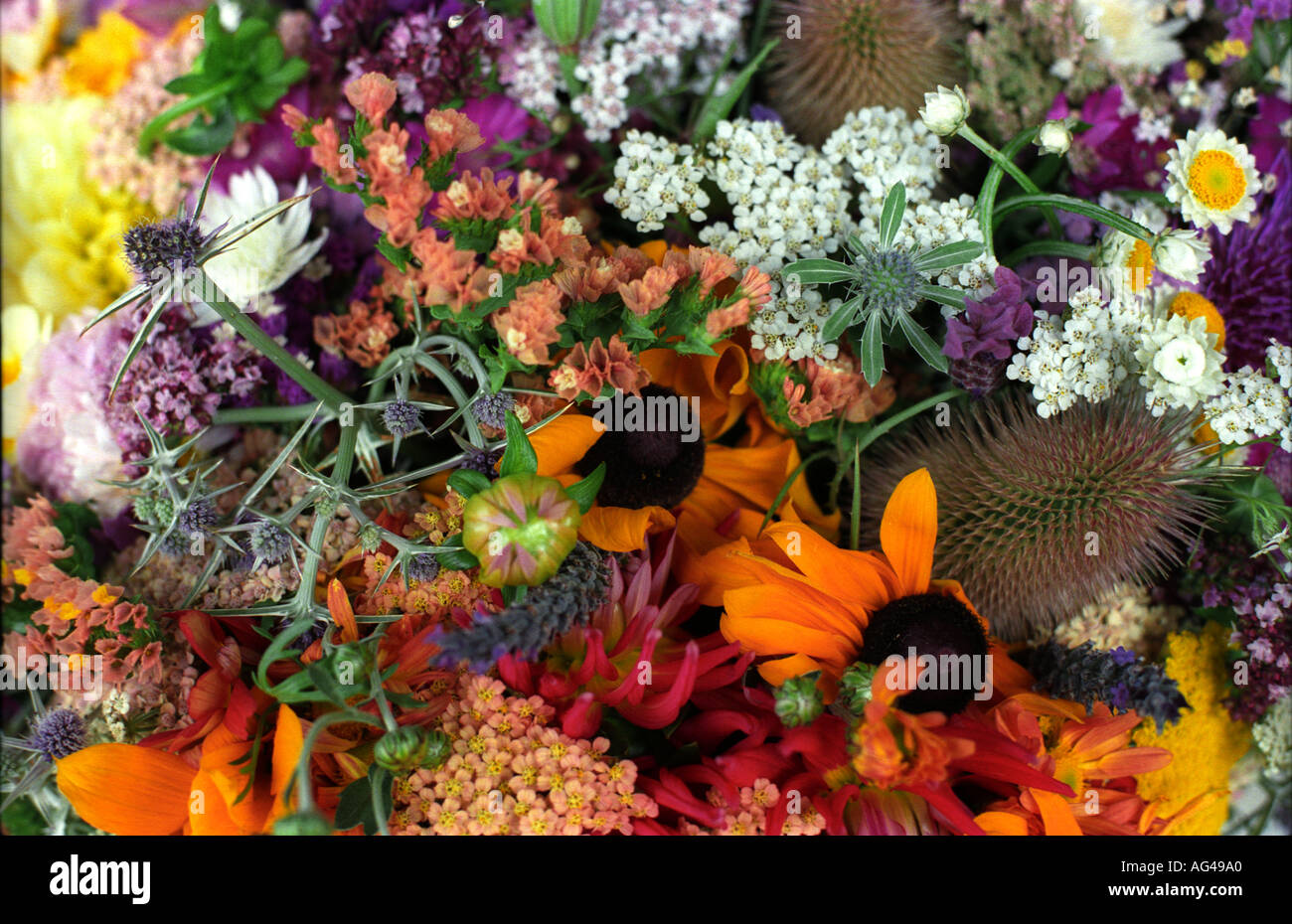 Australian native bouquet hi-res stock photography and images - Alamy