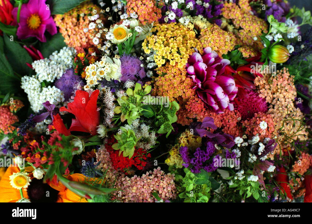 Australian native bouquet hi-res stock photography and images - Alamy