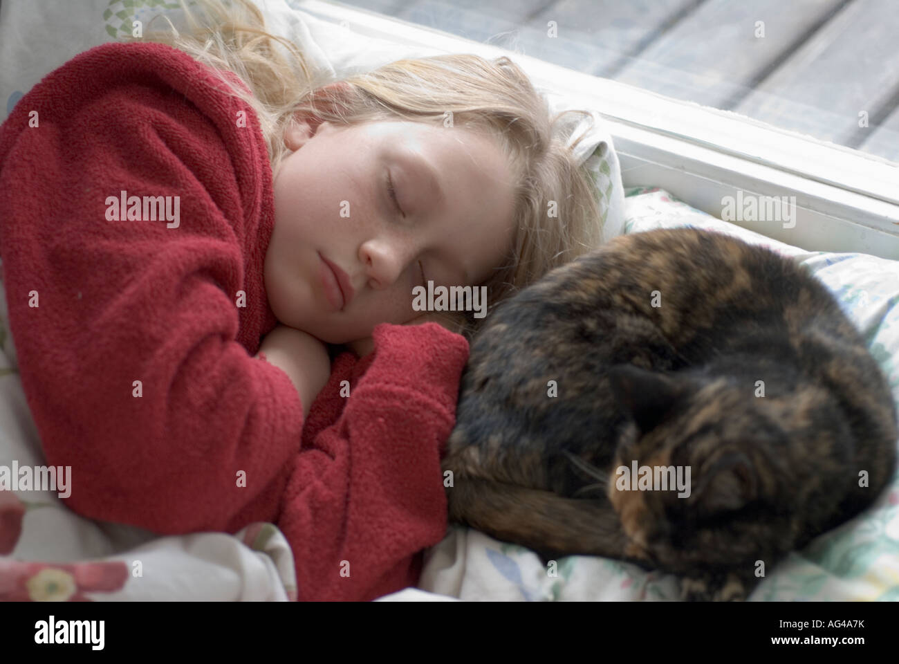 Child and cat sleeping Stock Photo - Alamy