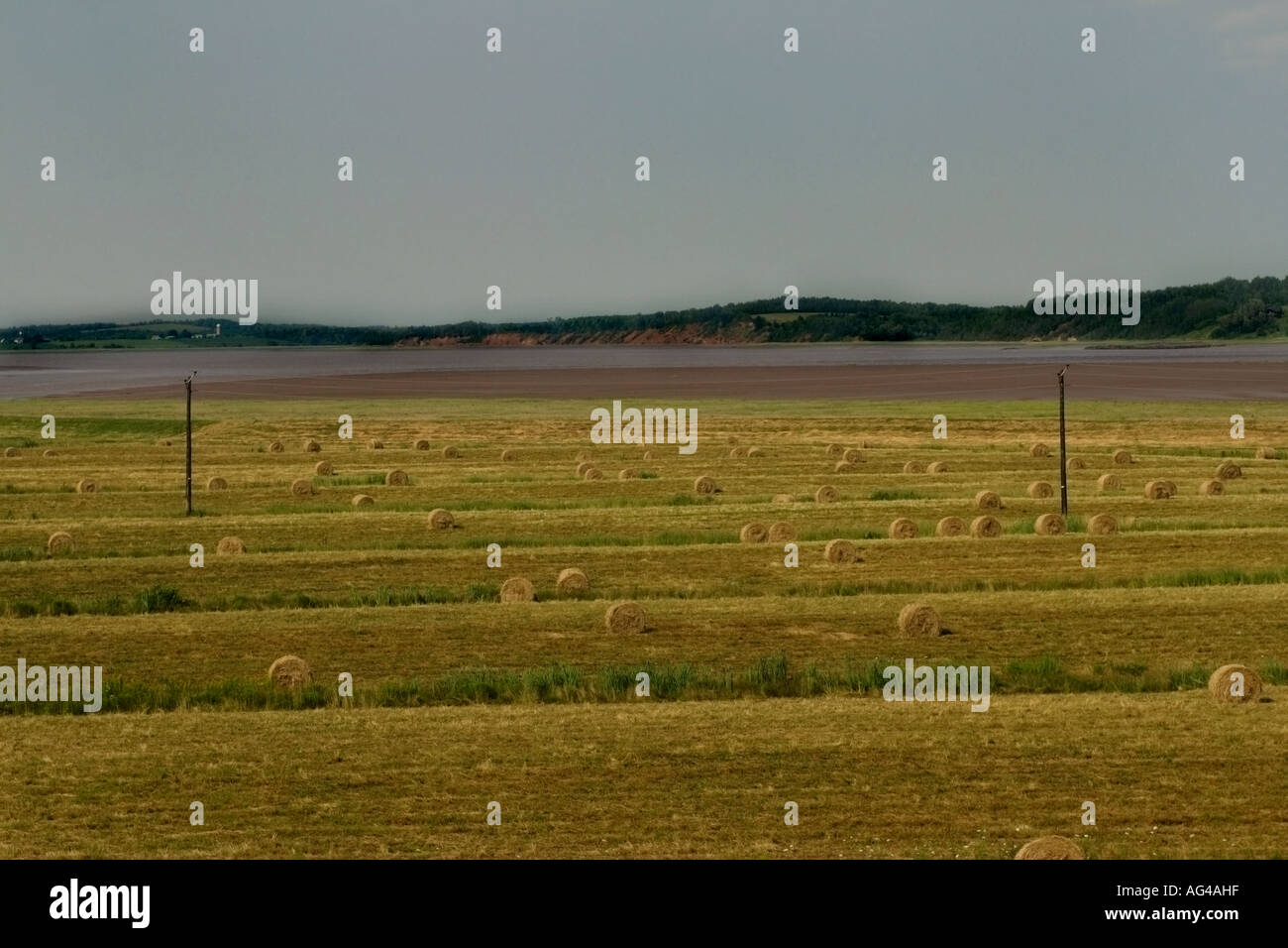 Round bails in a field hi-res stock photography and images - Alamy