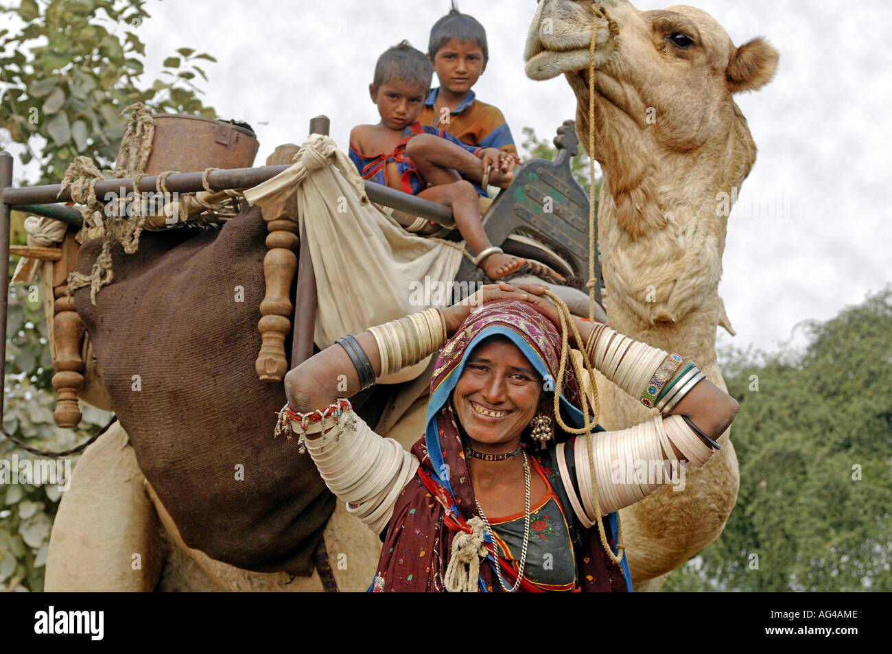Migratory family of gypsies travel by camels Akola Akot Maharashtra ...