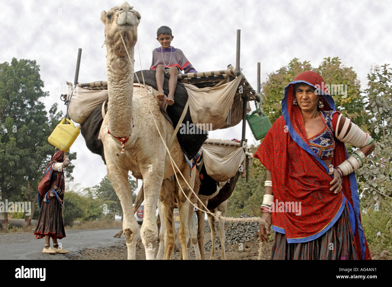 HMA79188 Migratory family of gypsies travel by camels Akola Akot ...