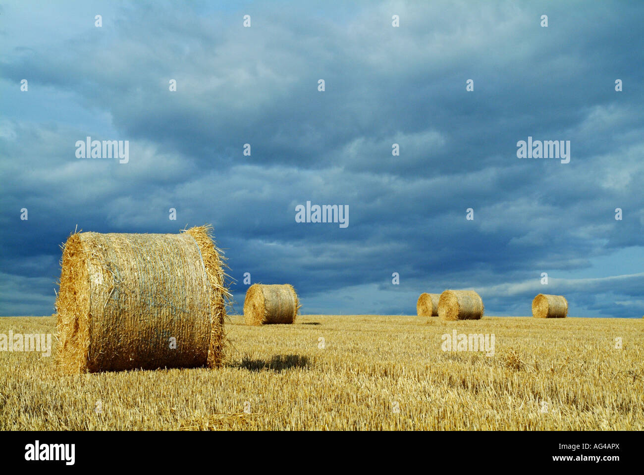 Hay feild hi-res stock photography and images - Alamy