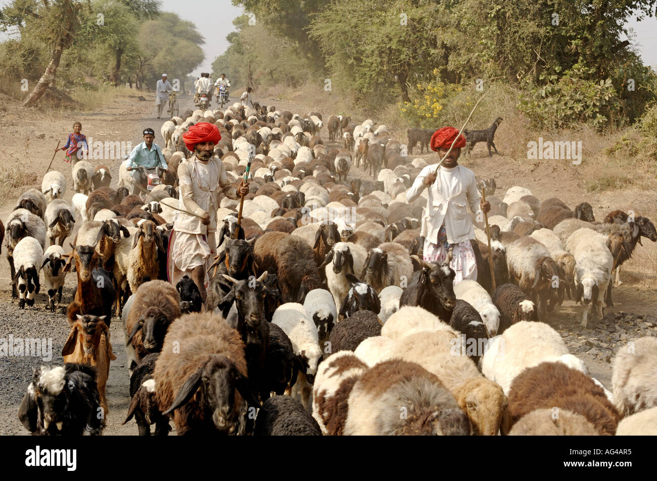 India man woman riding scooter hi-res stock photography and images - Alamy