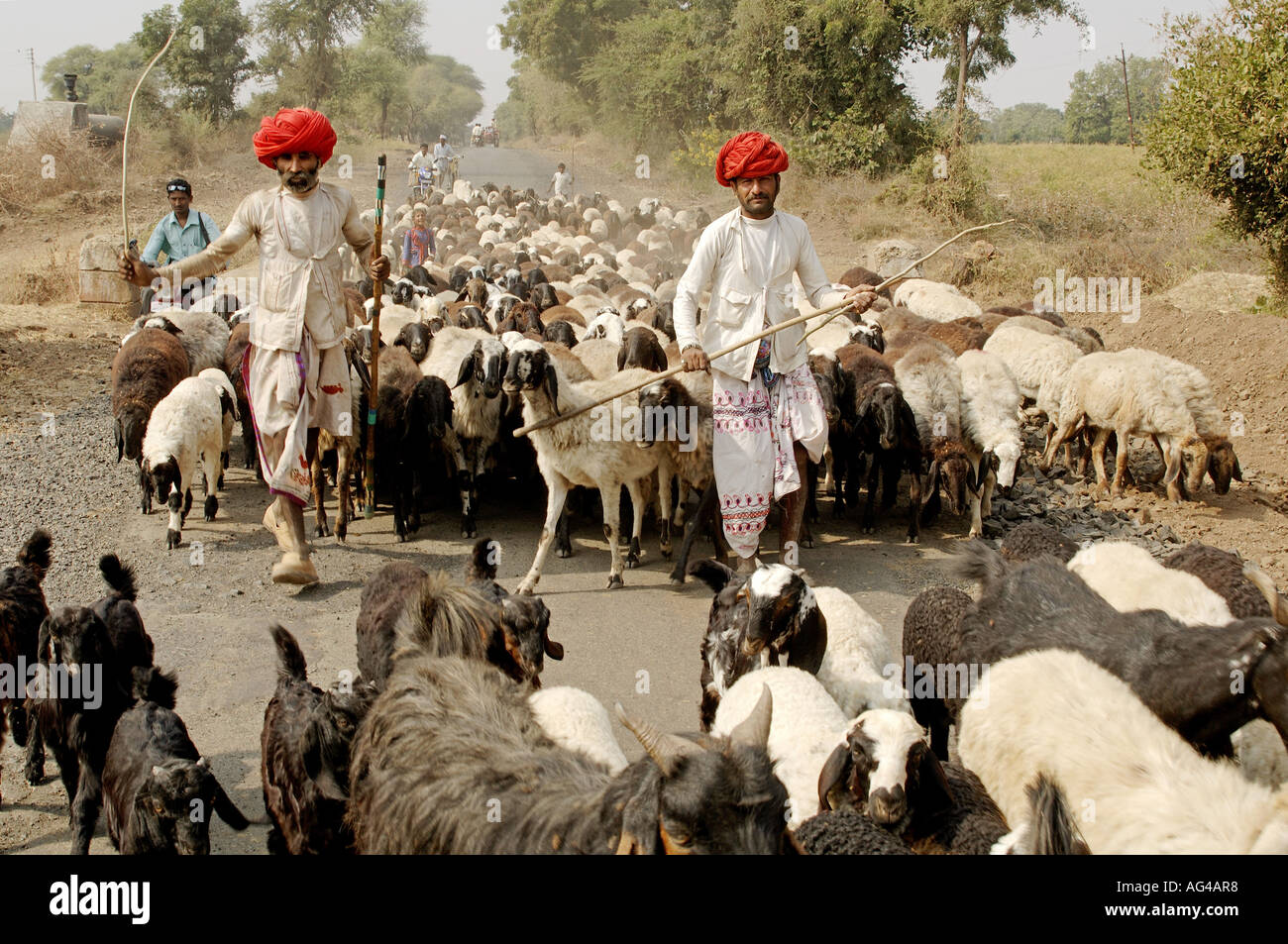Village road morning maharashtra india hi-res stock photography and ...