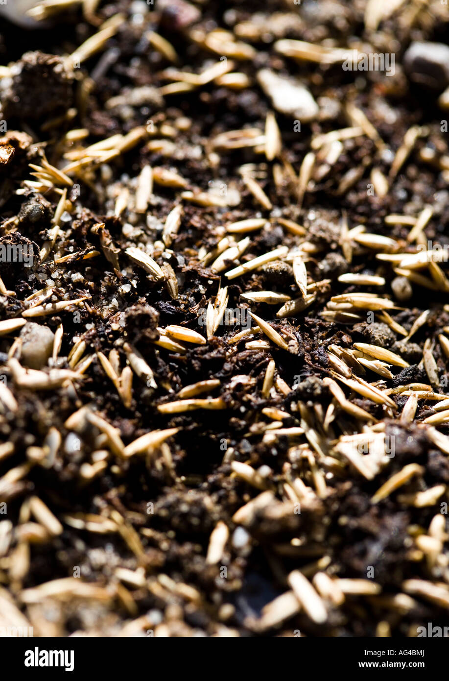 Scattered soil hi-res stock photography and images - Alamy