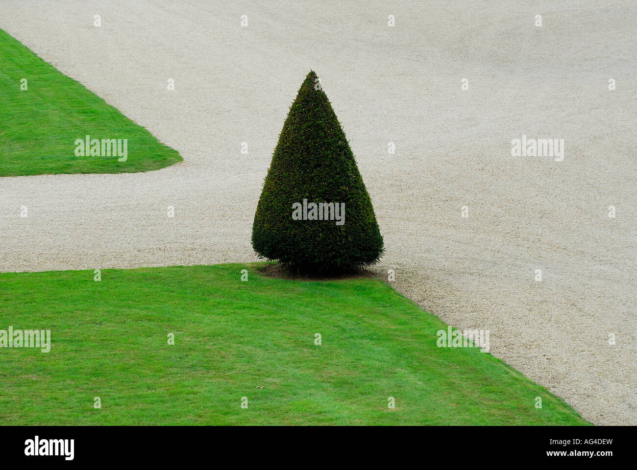 Conical shaped yew tree hi-res stock photography and images - Alamy