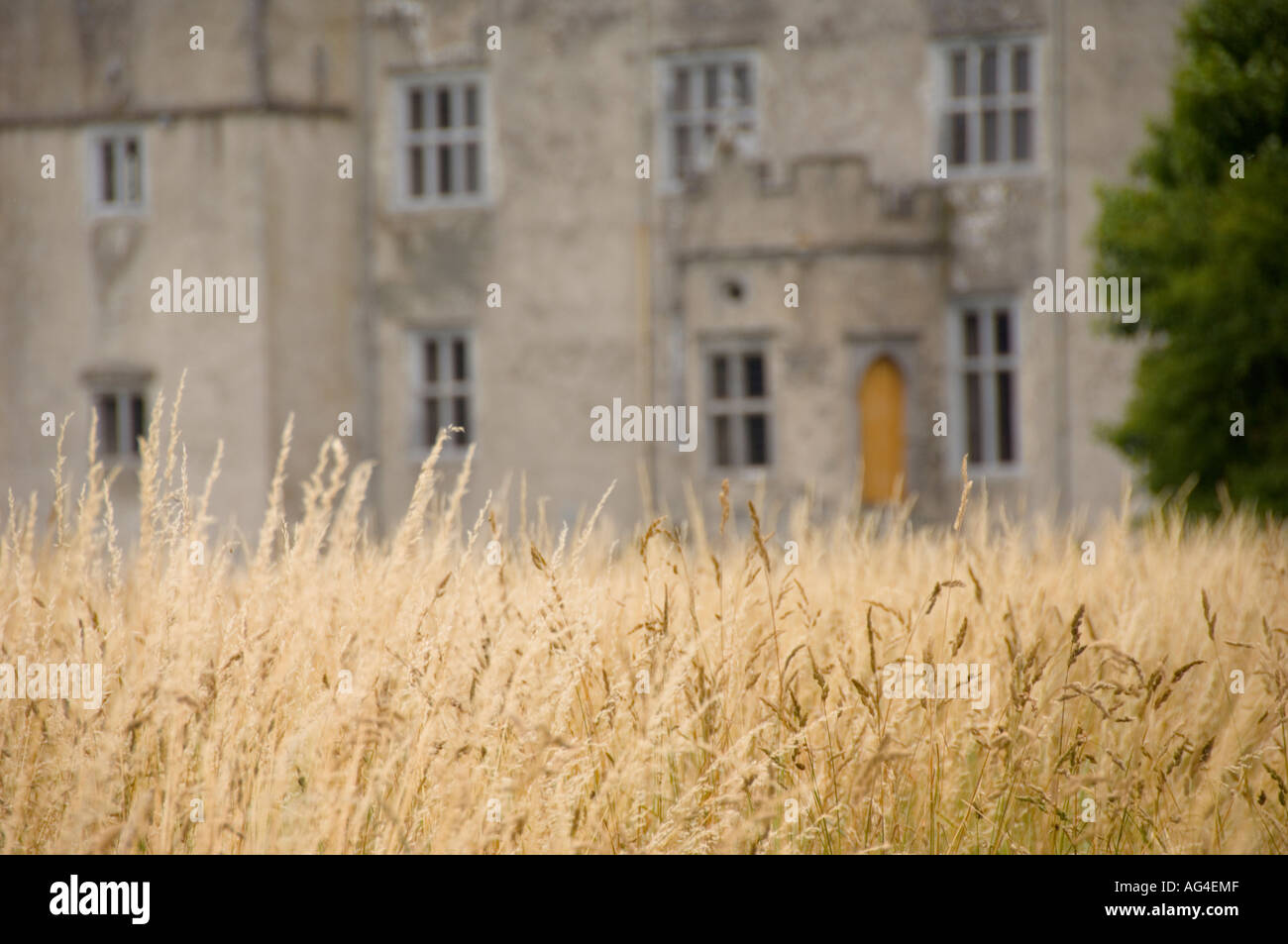 Portumna hi-res stock photography and images - Alamy