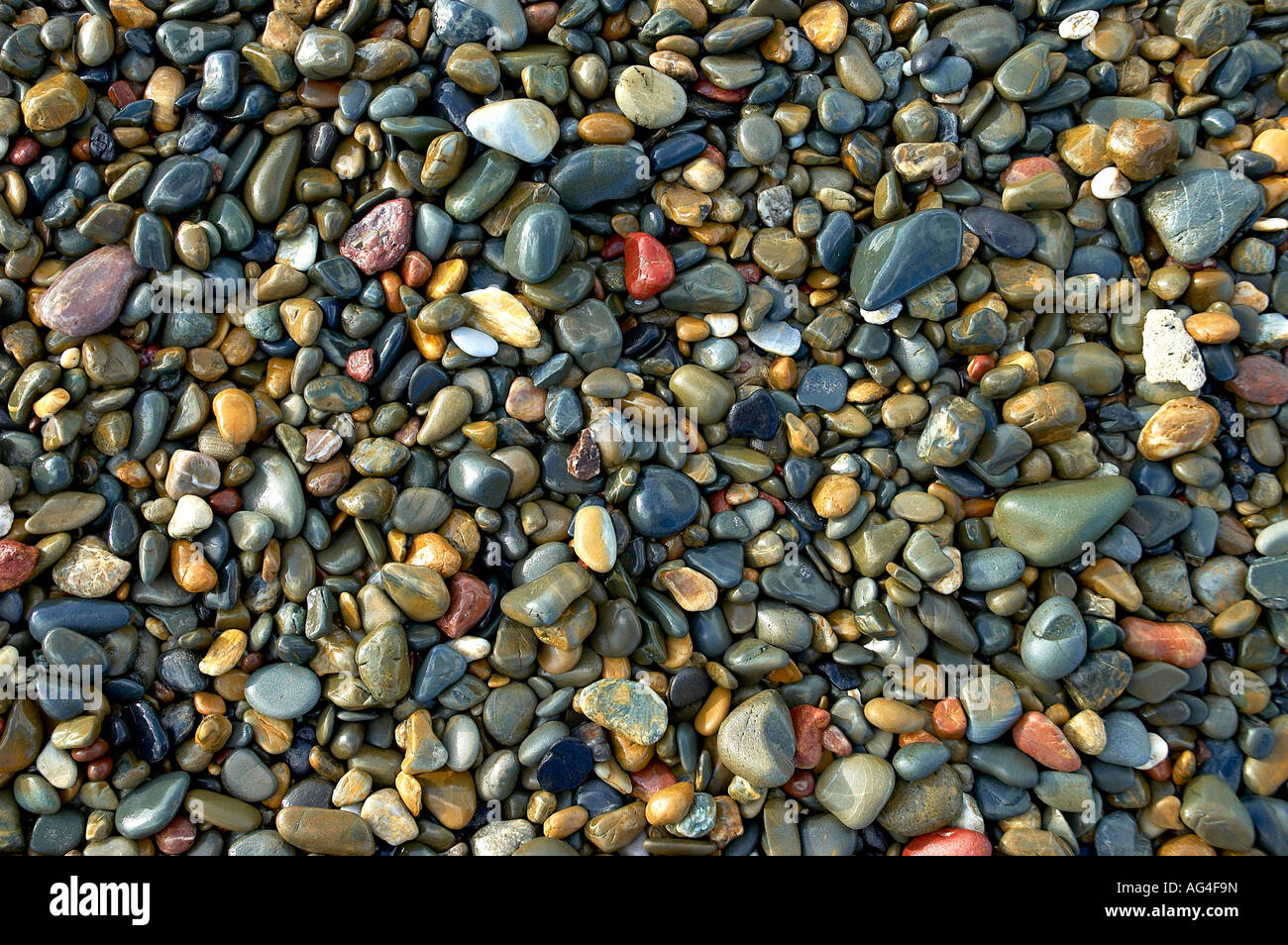 Pebbles on beach closeup Stock Photo - Alamy