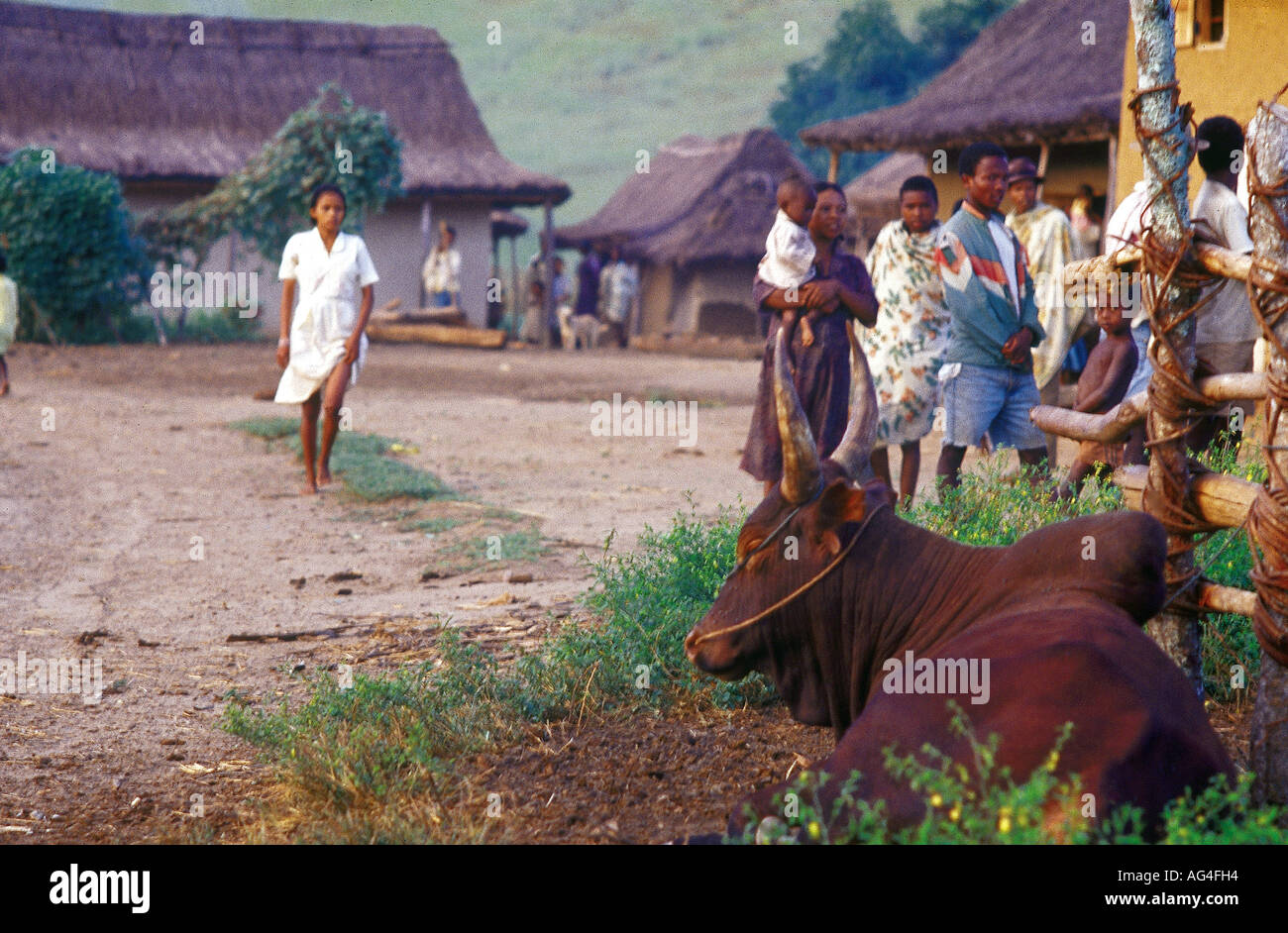 Culture malgache hi-res stock photography and images - Alamy