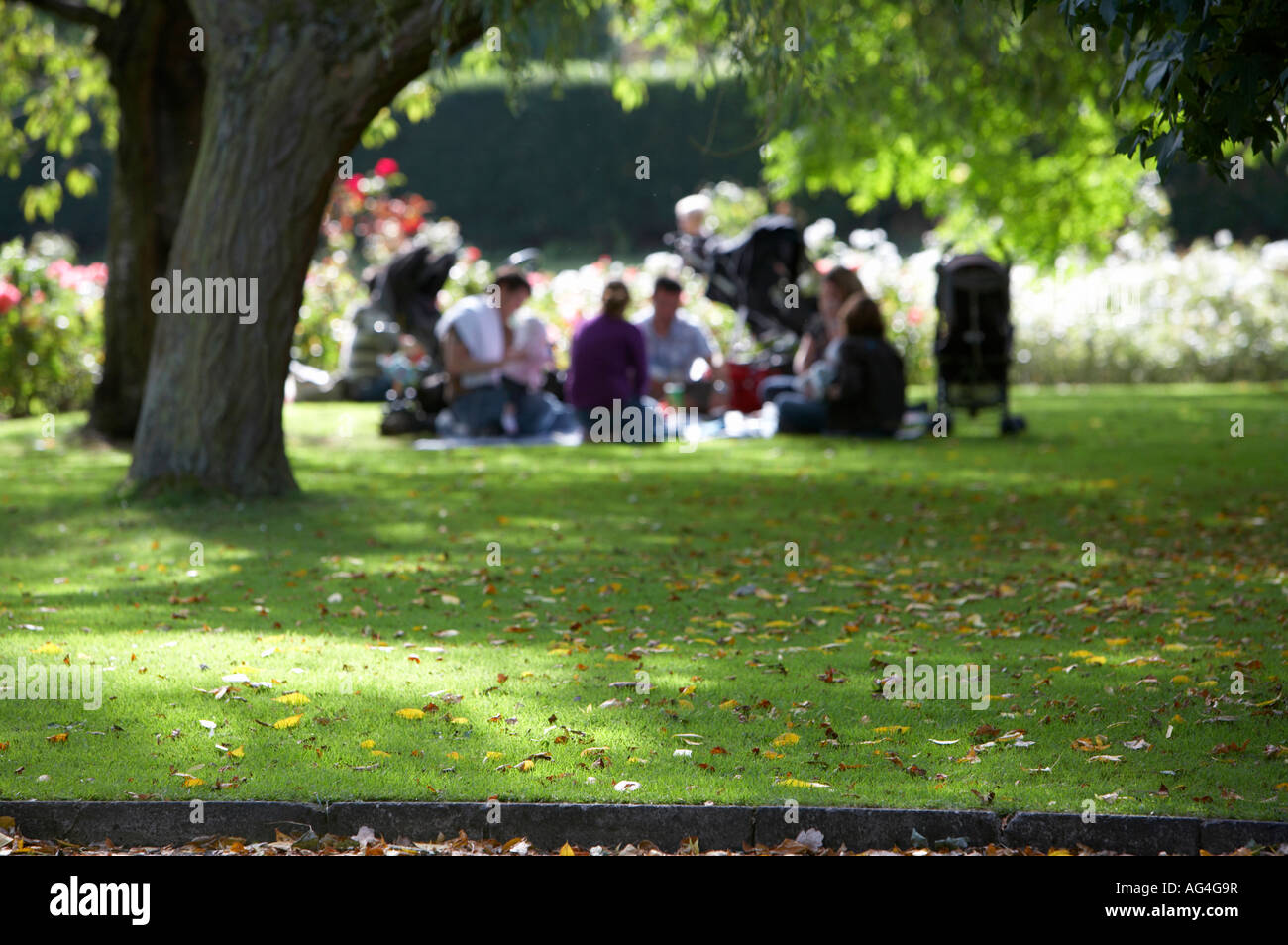 Picnic Under A Tree at Stanley Abbott blog