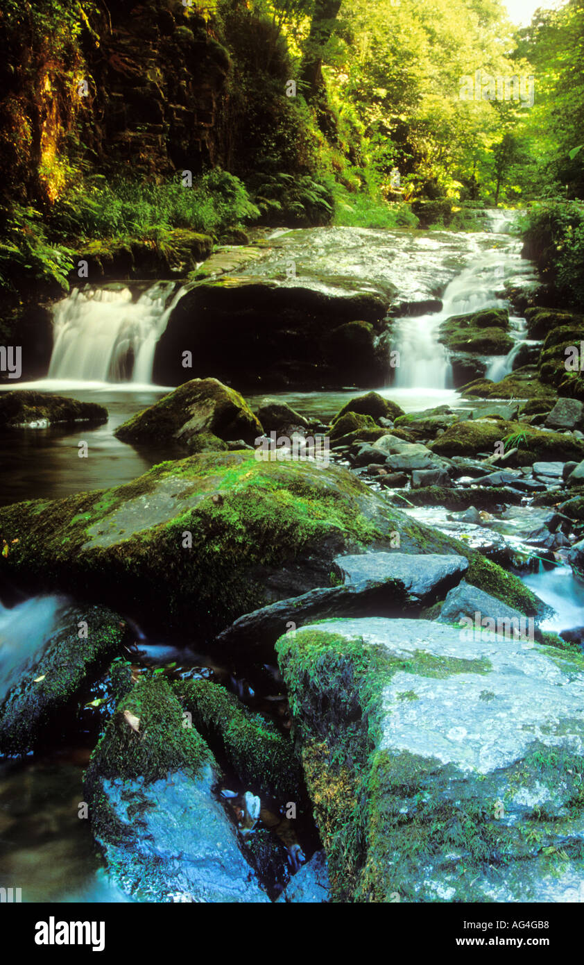 Waterfall Watersmeet Devon Uk High Resolution Stock Photography and ...