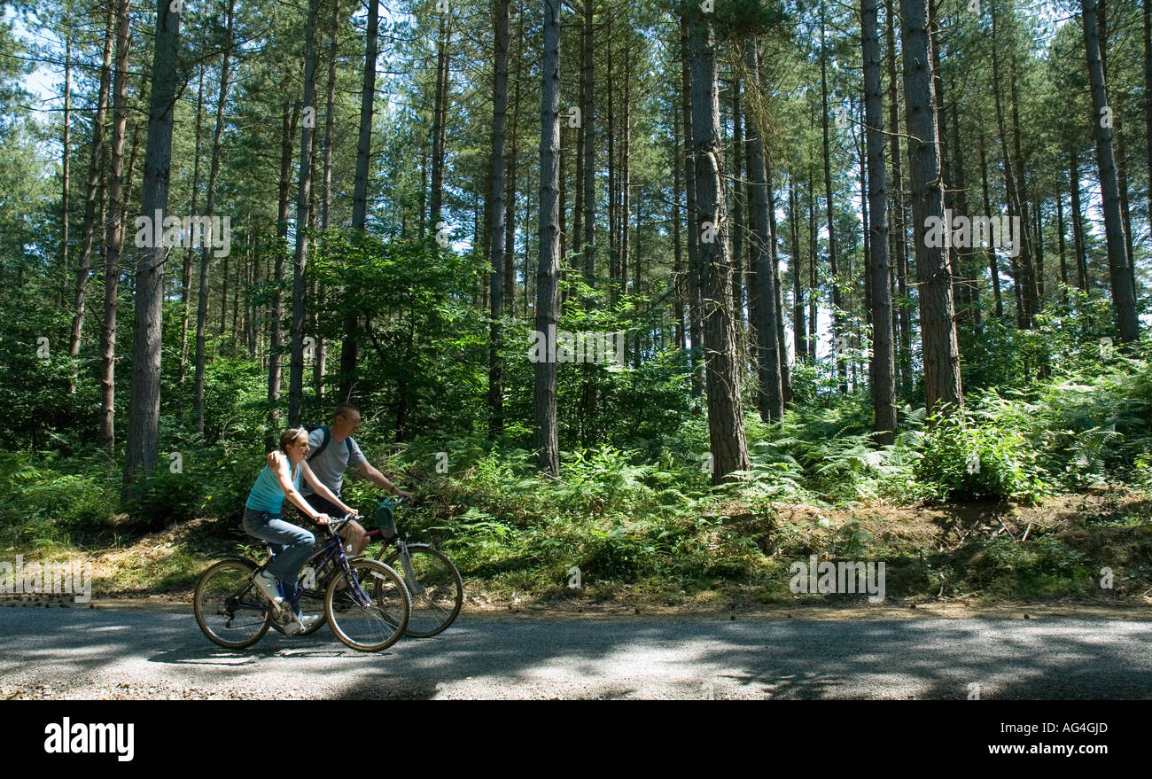 Bedgebury Forest Cycle Kent High Resolution Stock Photography and ...