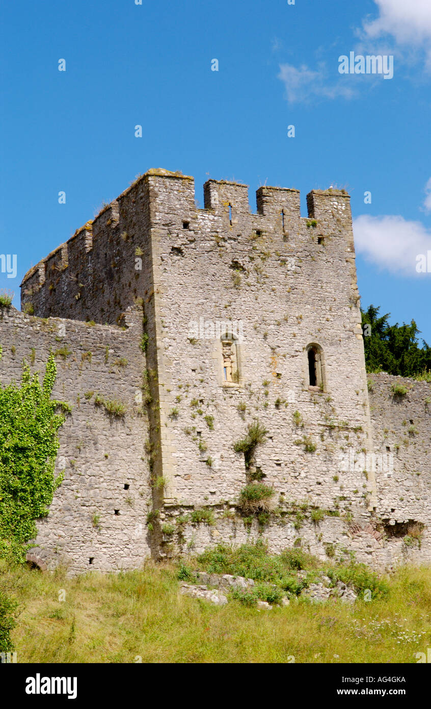Chepstow Castle is one of Britains first stone castles started in 1067 ...