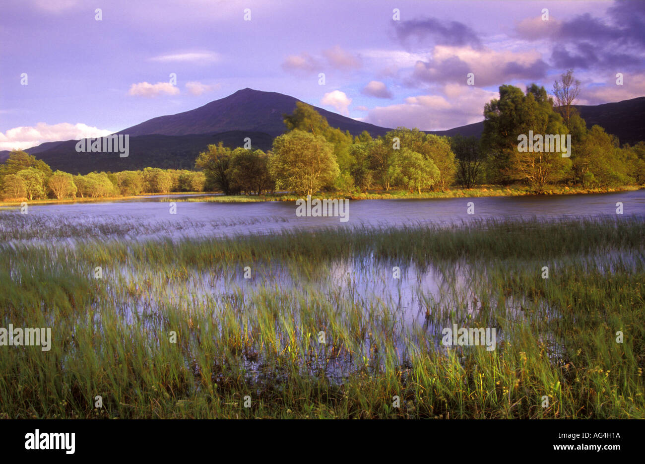 Mount schiehallion hi-res stock photography and images - Alamy