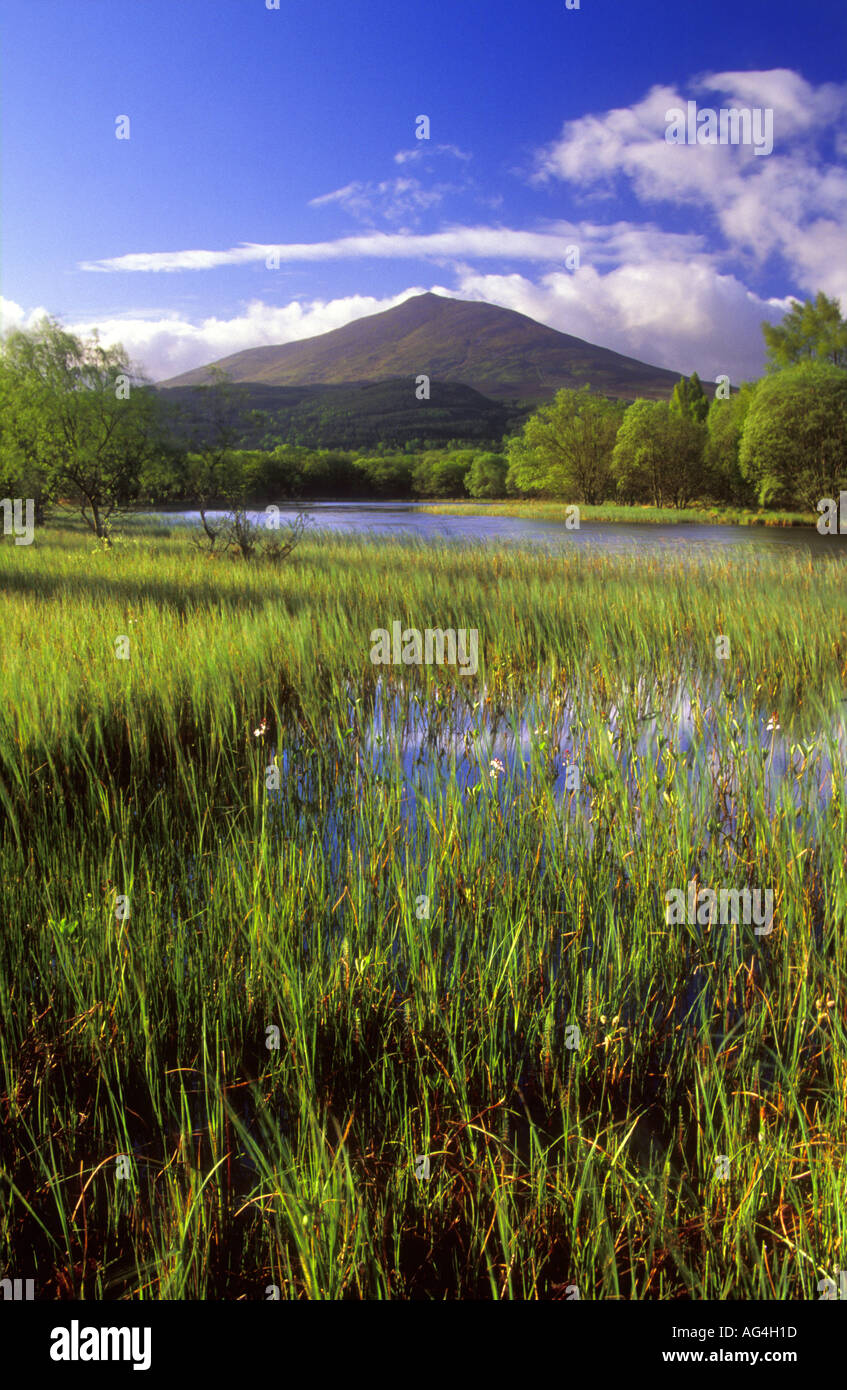 Dunalastair water hi-res stock photography and images - Alamy