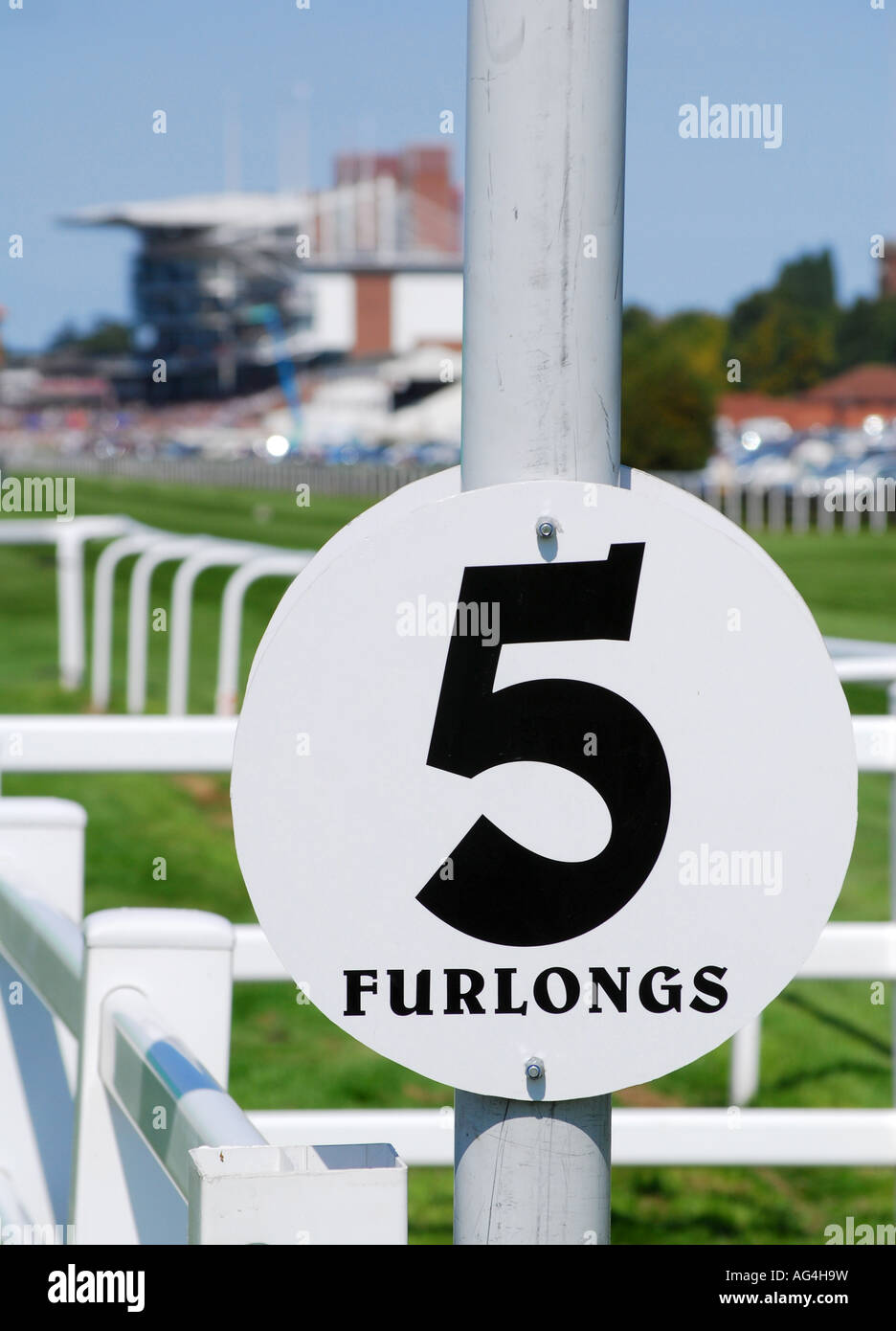 Ladies day at York racing course Stock Photo - Alamy