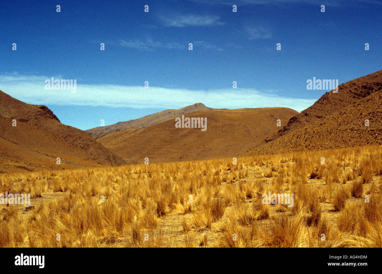 High altitude grasslands hi-res stock photography and images - Alamy