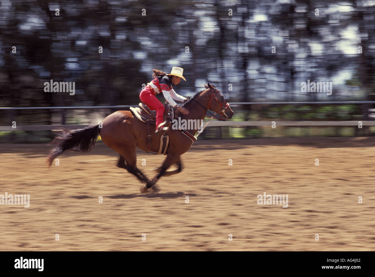 A cowgirl speeds to the finish line during a rodeo competition on Maui ...