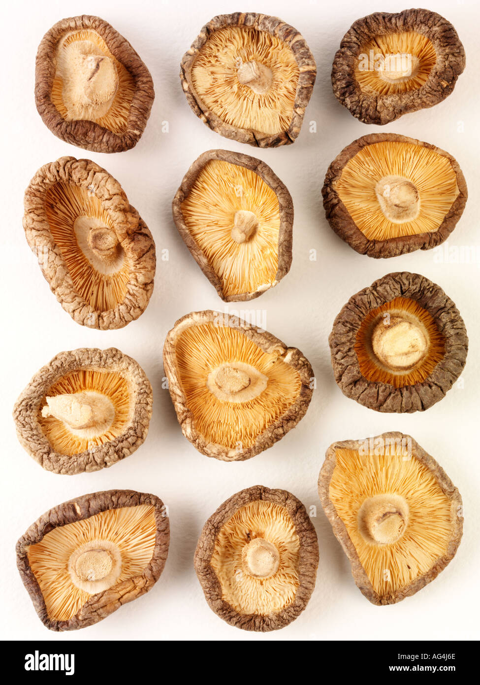 Chinese funghi hi-res stock photography and images - Alamy