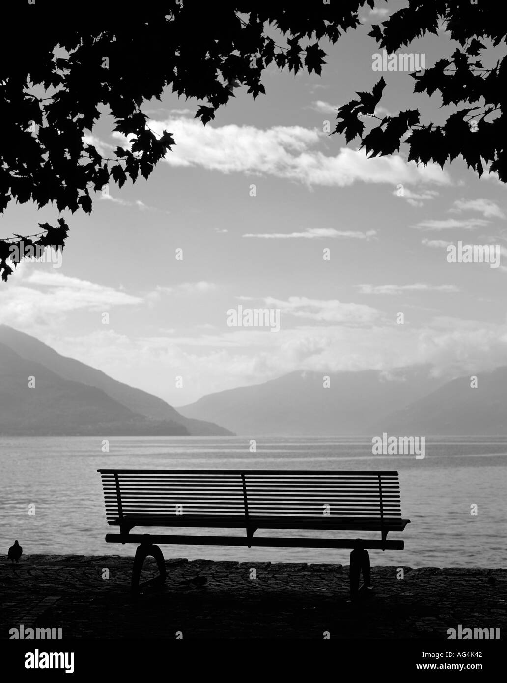 Empty bench facing the lake of Lago Maggiore, Ascona, Switzerland Stock ...
