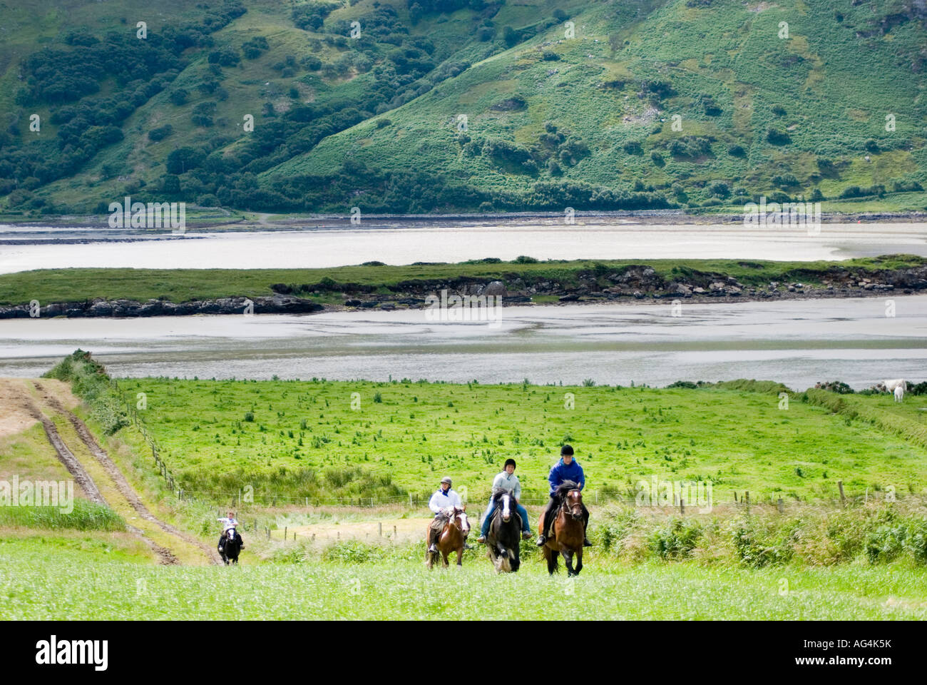 Ardara Loughros Point Riding Horses Donegal Ireland Stock Photo - Alamy